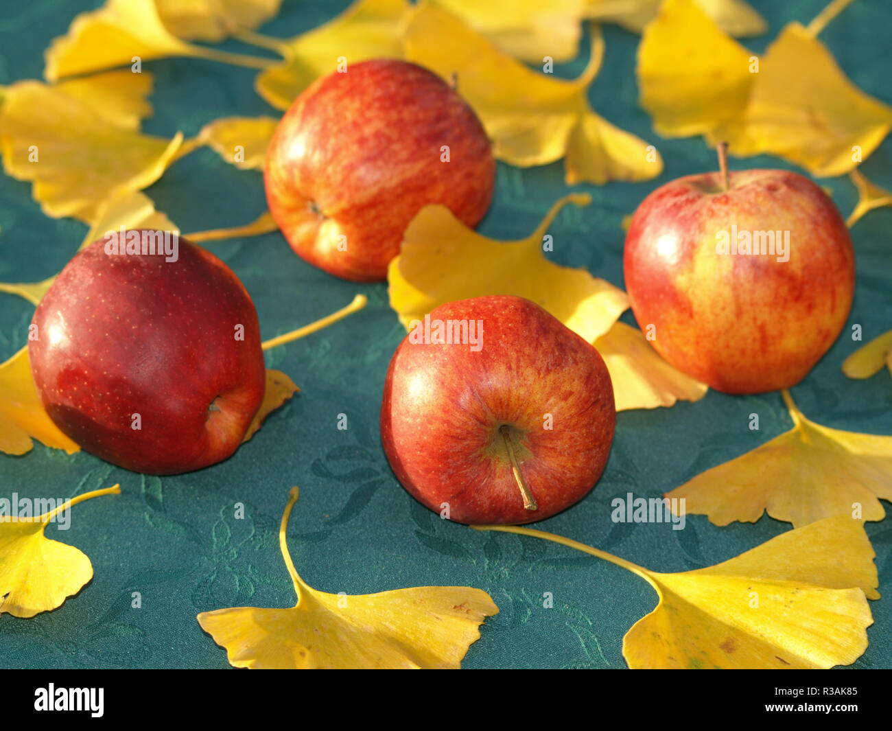 Boskoop apples hi-res stock photography and images - Alamy