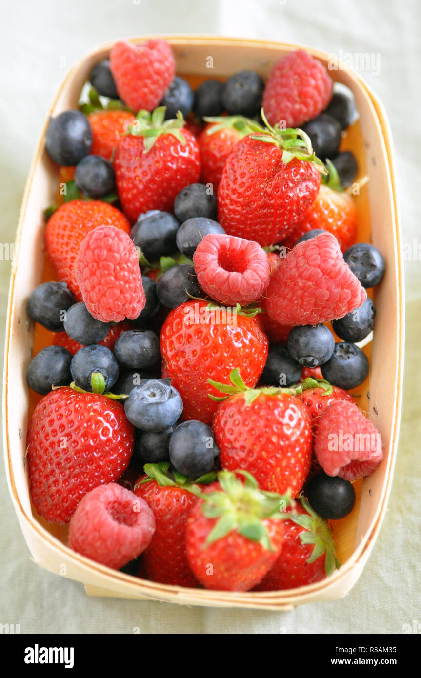 Berries illustrate hi-res stock photography and images - Alamy