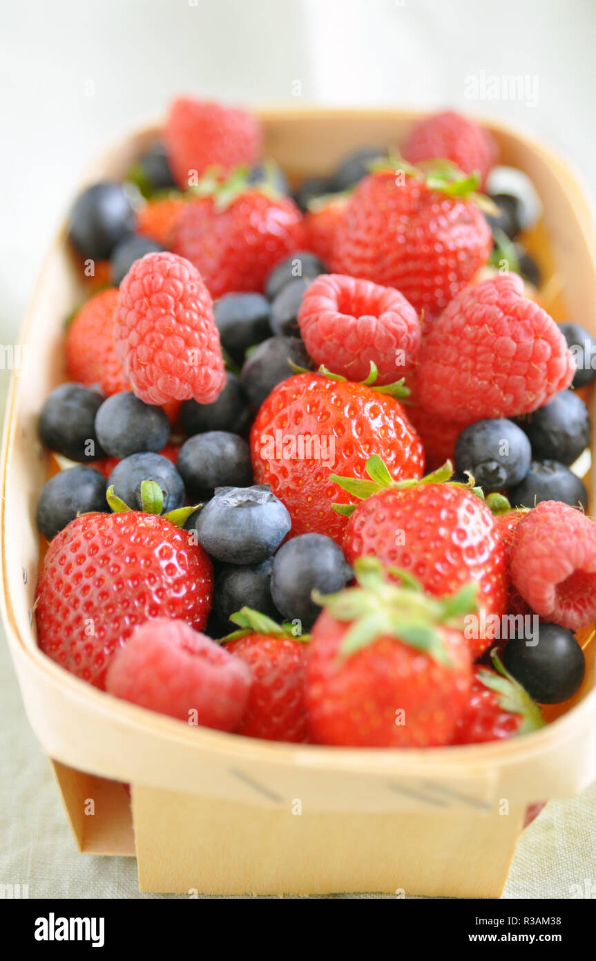 Berries illustrate hi-res stock photography and images - Alamy
