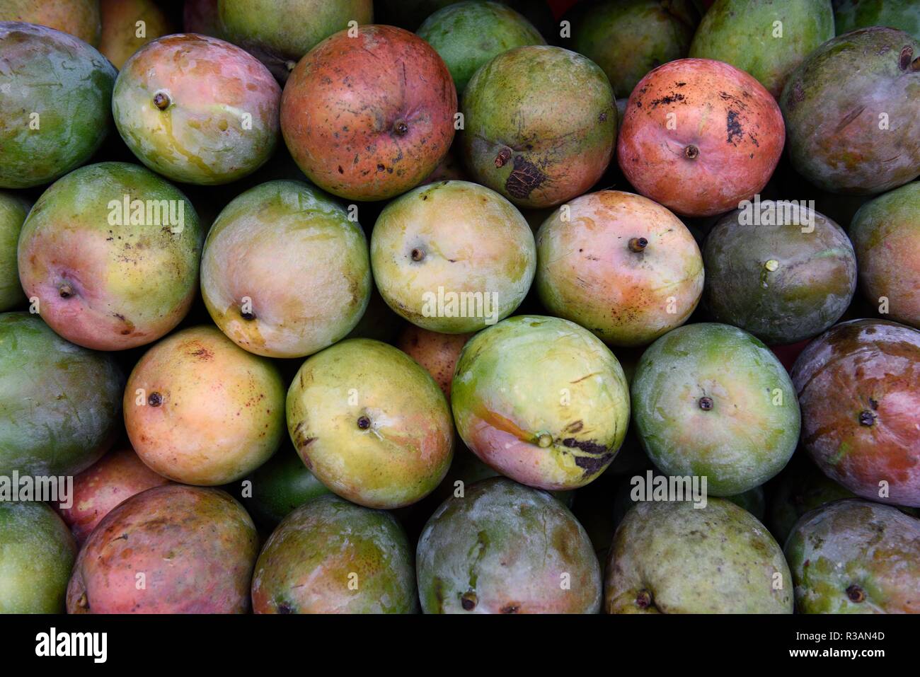 Stack Of Mango High Resolution Stock Photography and Images - Alamy
