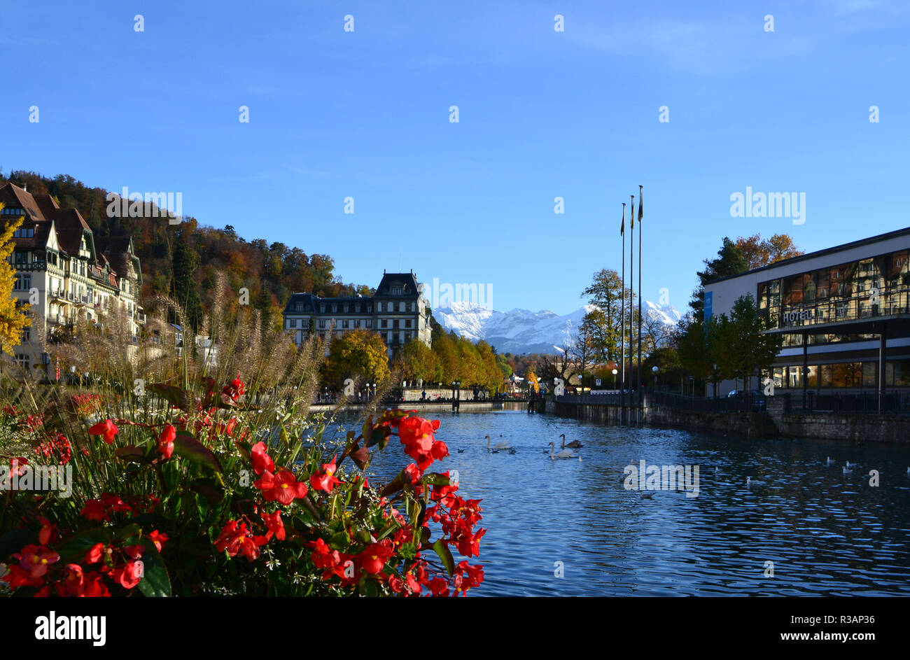 an der aare Stock Photo - Alamy