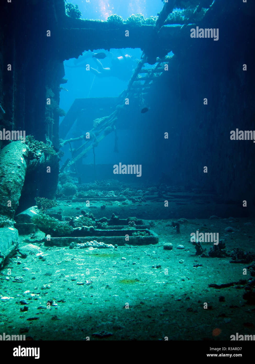 Salem express ship wreck hi-res stock photography and images - Alamy