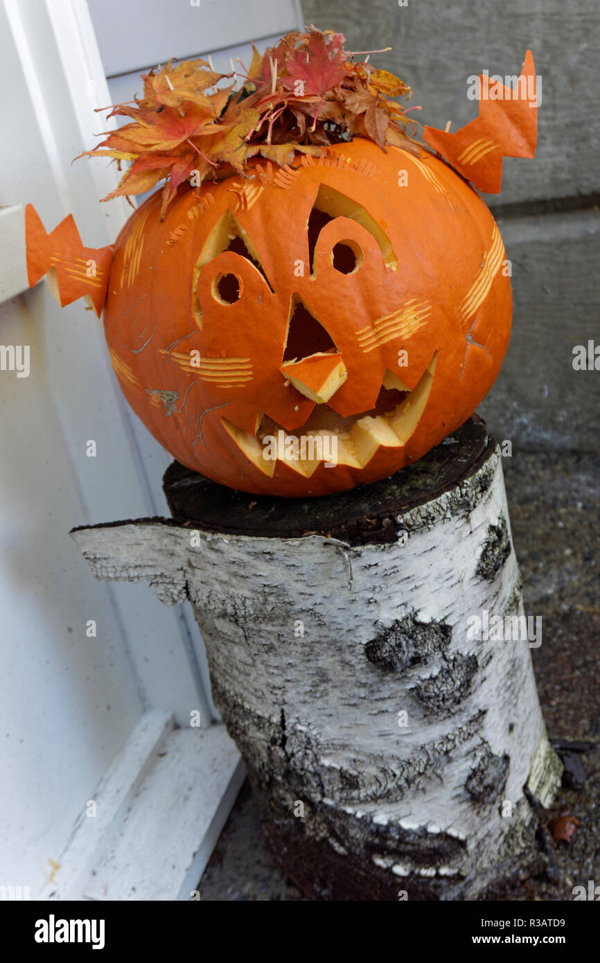 Scary log hi-res stock photography and images - Alamy