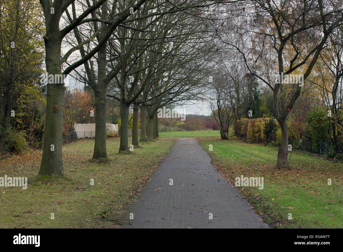 where does the path lead Stock Photo - Alamy