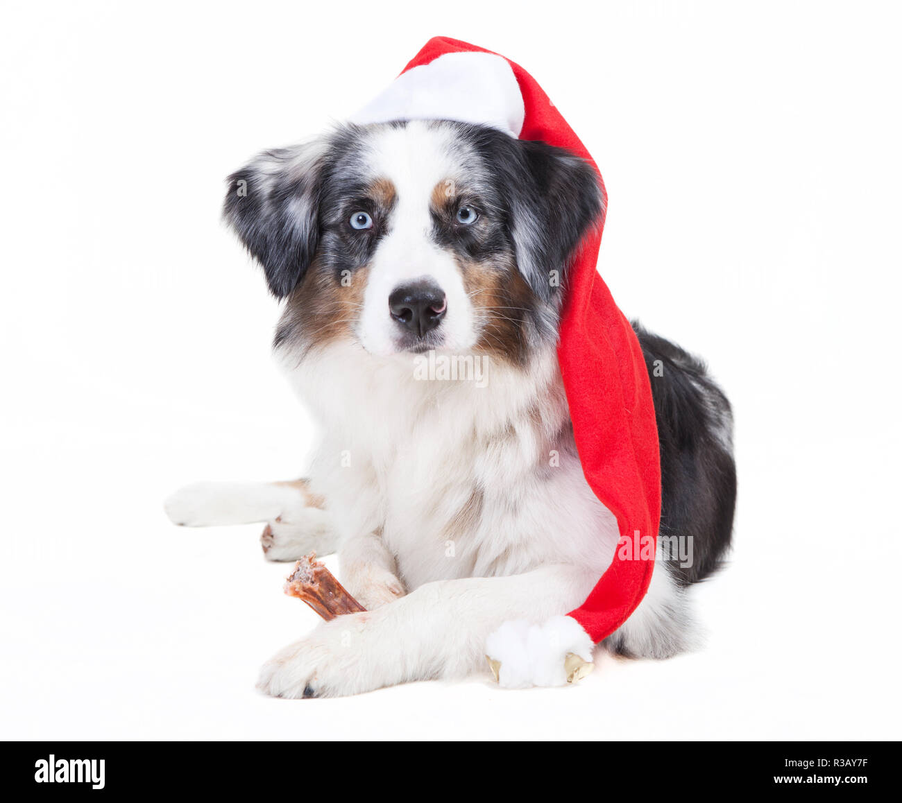 Tricolor hat hi-res stock photography and images - Alamy