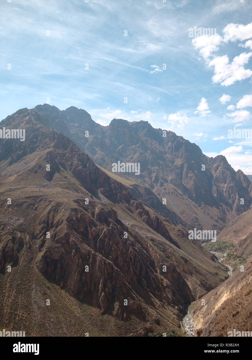 Cactus colca canyon andes peru hi-res stock photography and images - Alamy