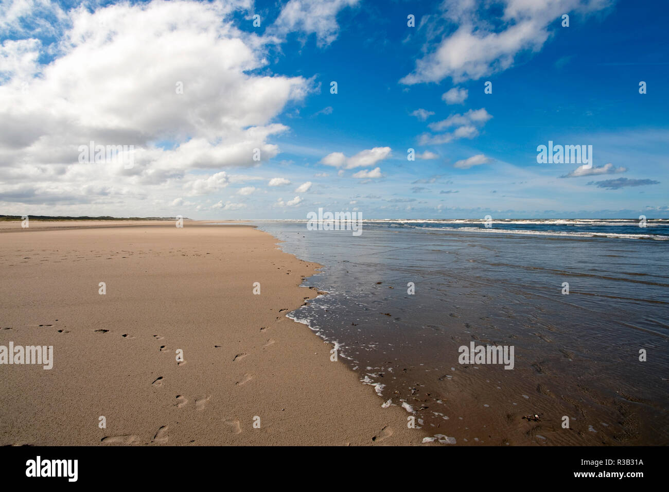 at the beach Stock Photo - Alamy