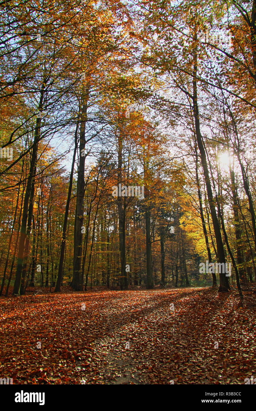 Free fall operations hi-res stock photography and images - Alamy