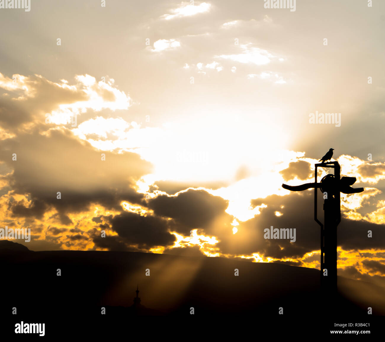 silhouette of a raven at sunset in Ashgabat Stock Photo - Alamy