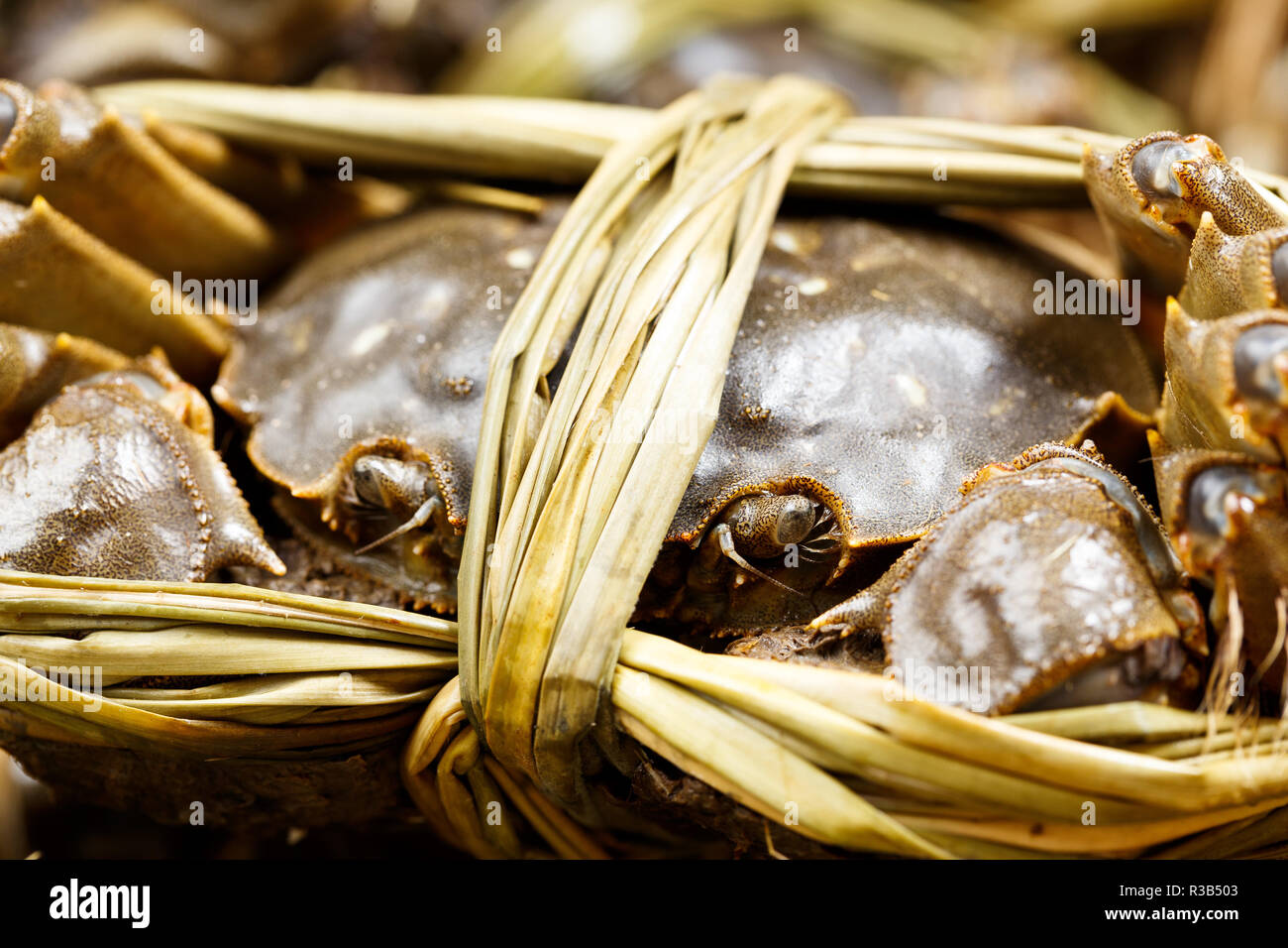 Yangcheng lake hairy crab hi-res stock photography and images - Alamy