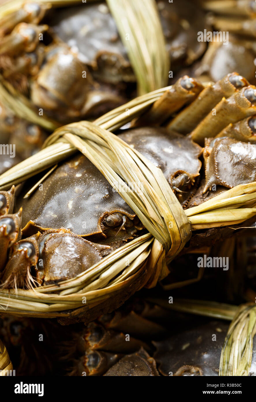 Hairy crab yangcheng hi-res stock photography and images - Alamy