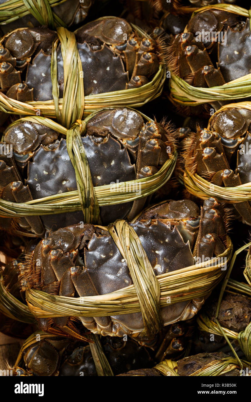 Hairy crab roe hi-res stock photography and images - Alamy