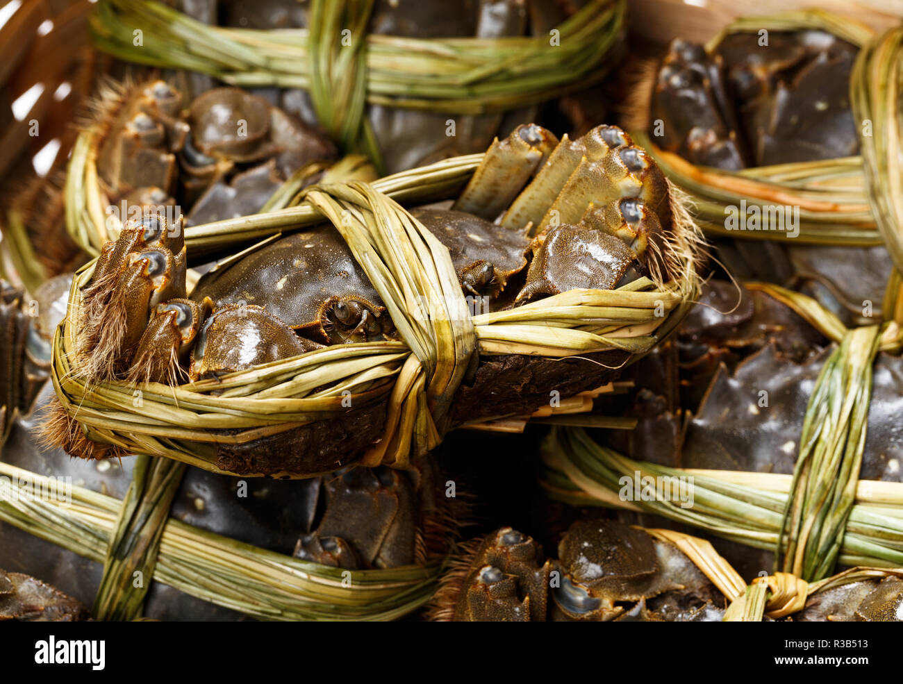 Hairy crab yangcheng hi-res stock photography and images - Alamy