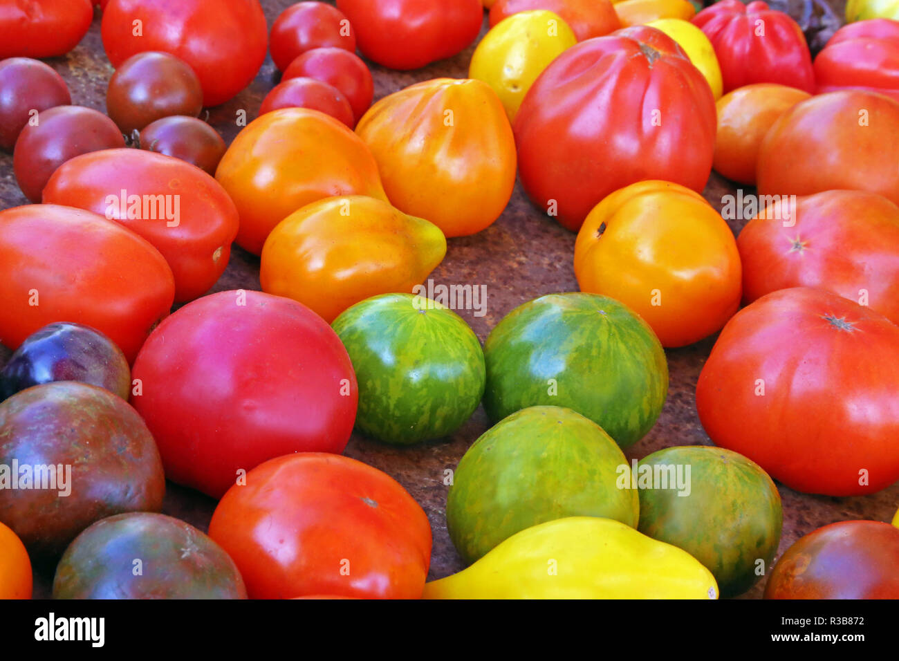 colorful tomato variety Stock Photo - Alamy