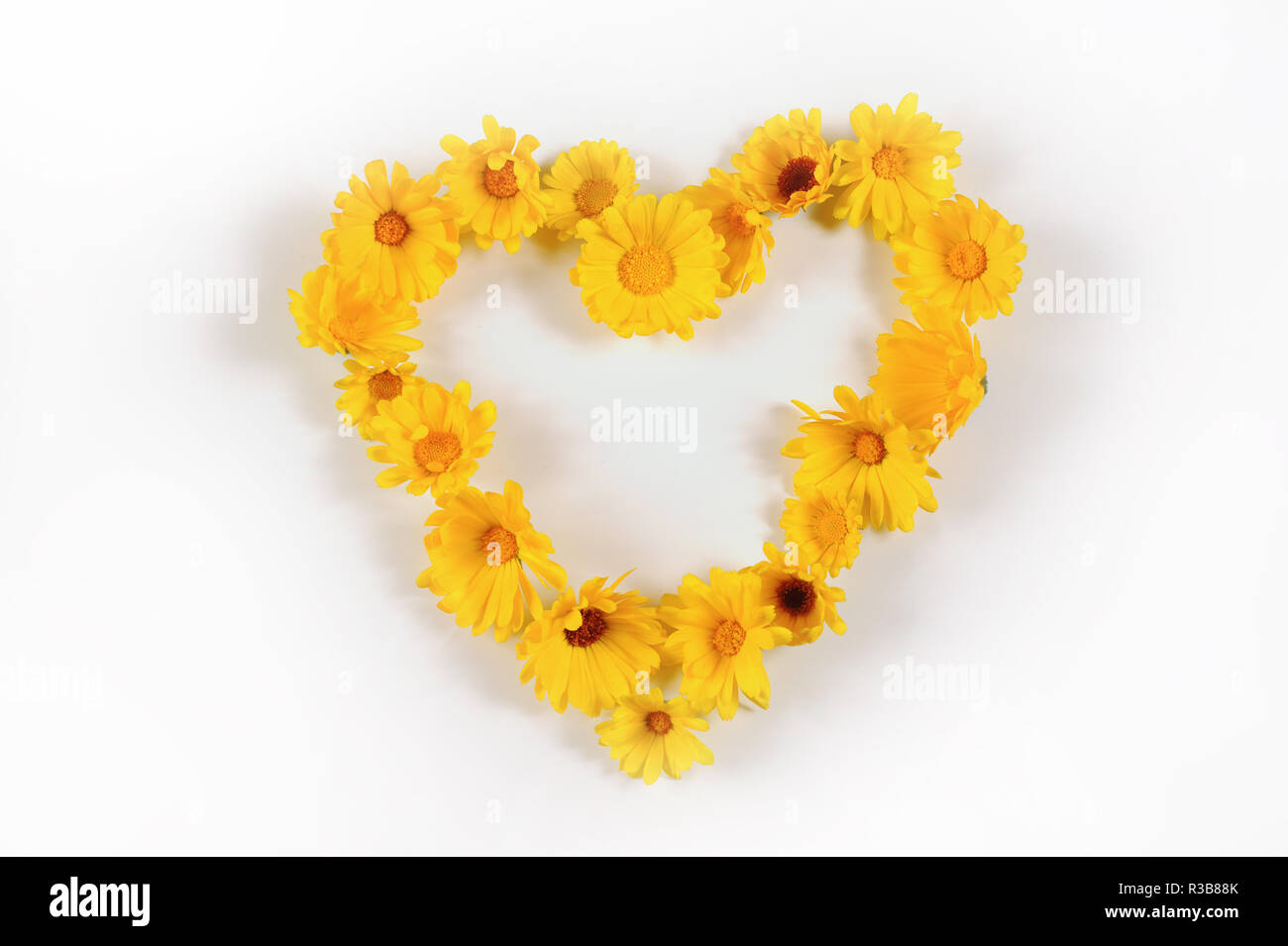 Heart of yellow flowers, Marigolds (Calendula officinalis), cutout ...