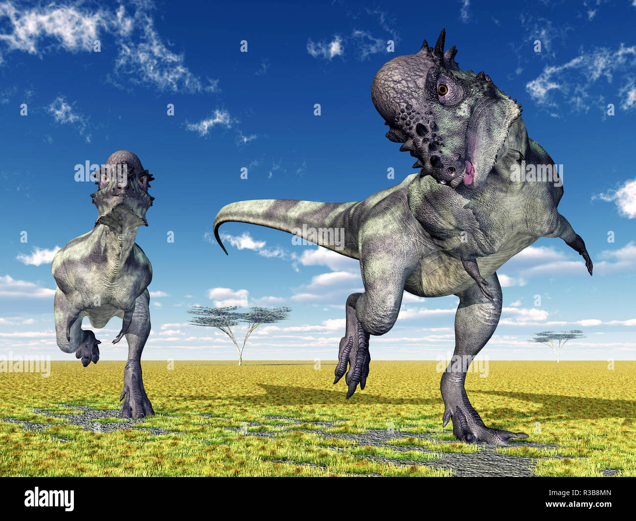 Pachycephalosaurus High Resolution Stock Photography and Images - Alamy