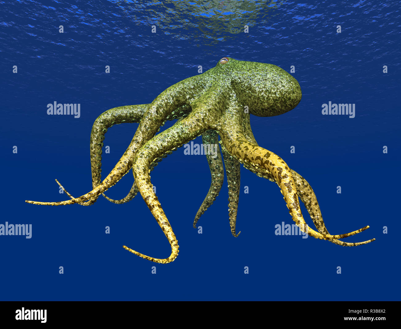 Spinelessly hi-res stock photography and images - Alamy