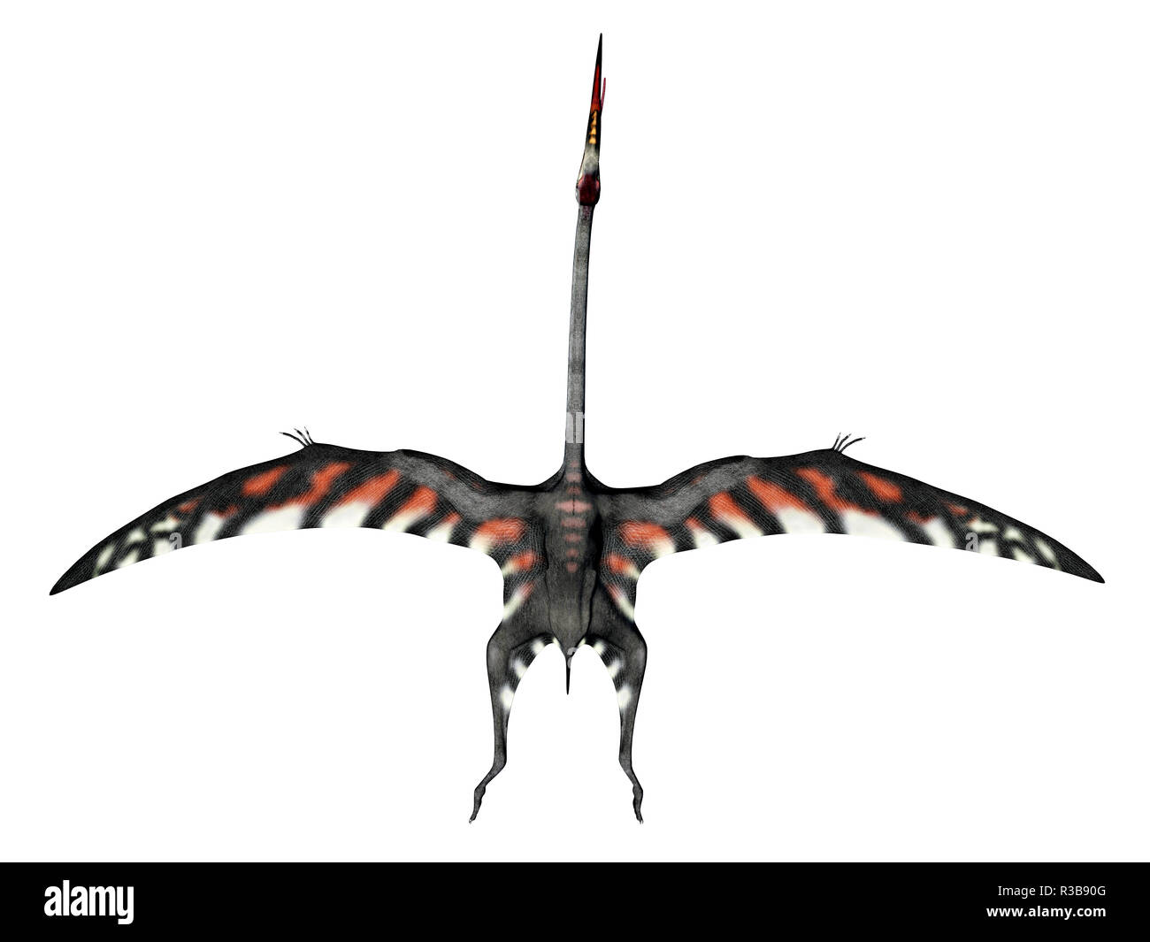 Quetzalcoatlus hi-res stock photography and images - Alamy