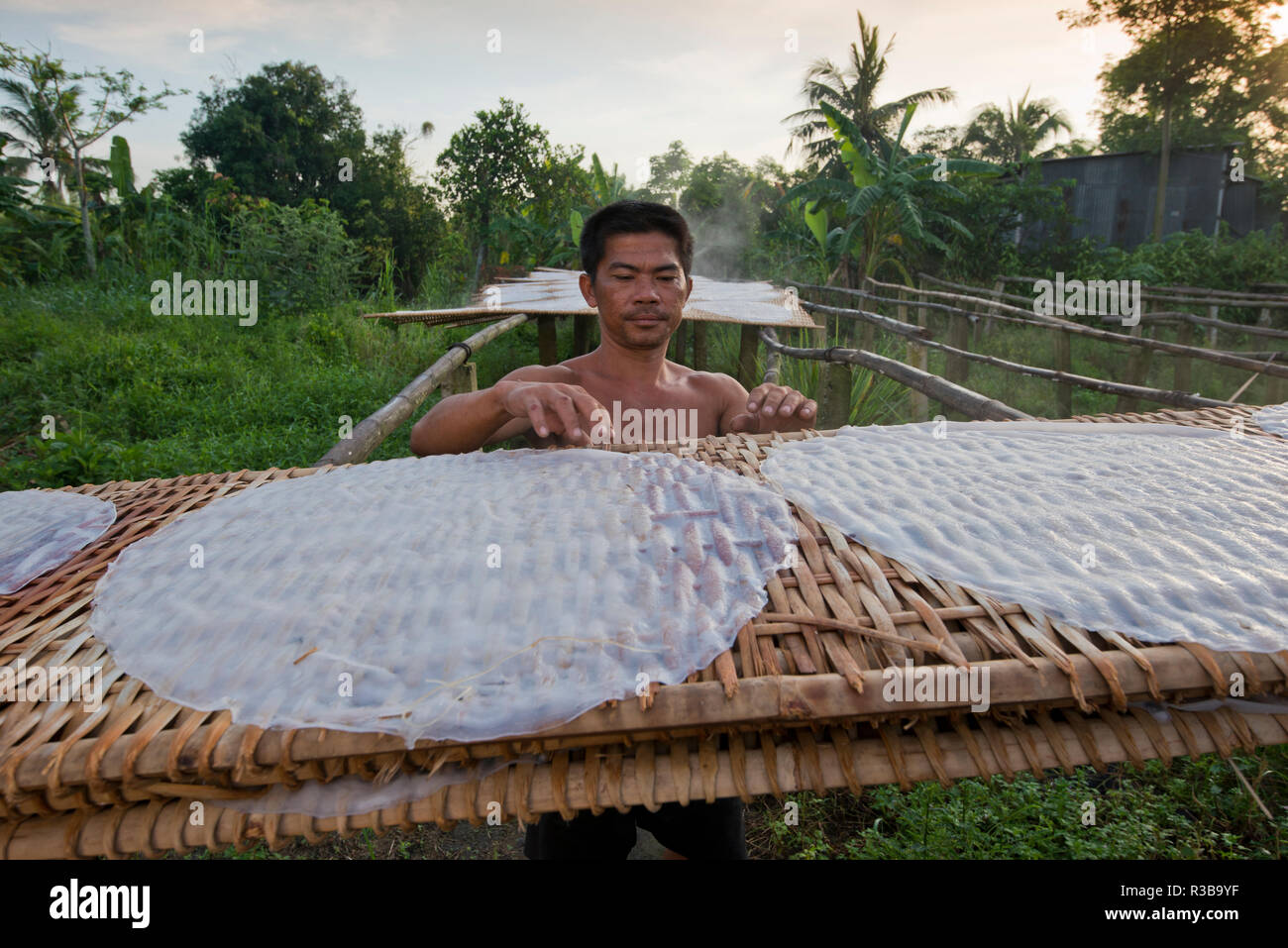Vietnamese worker spreads steaming rice noodle patties on bamboo frame ...