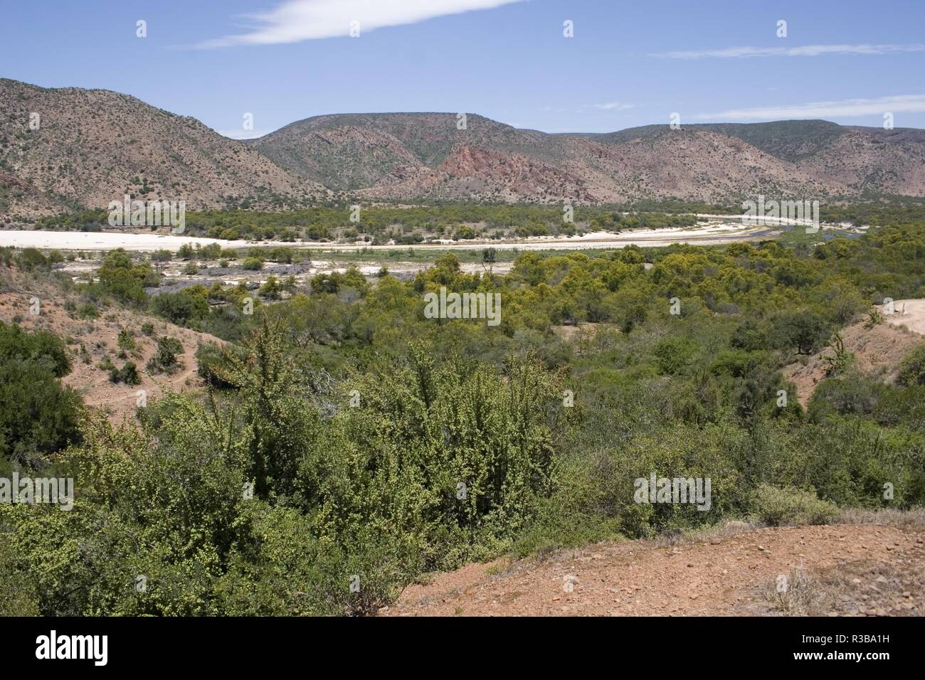 Citrus farm south africa hi-res stock photography and images - Alamy