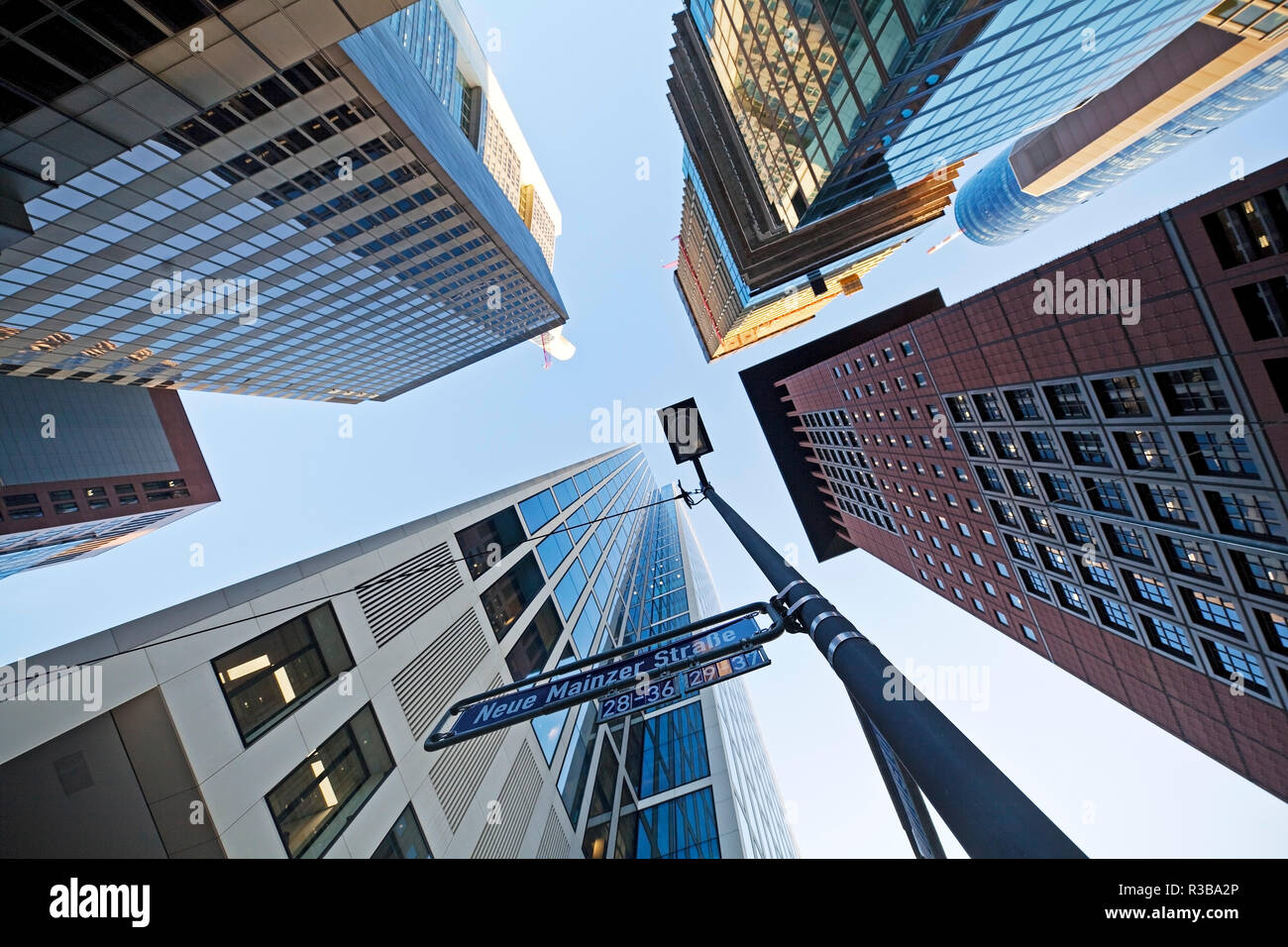 Frogs Perspective High Resolution Stock Photography and Images - Alamy