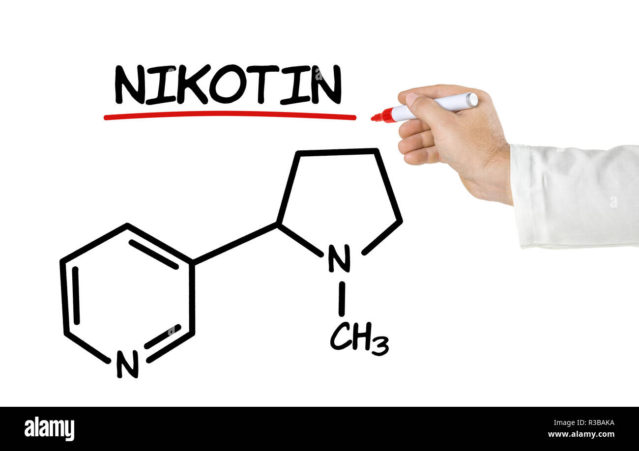 Nicotine Molecule Structure