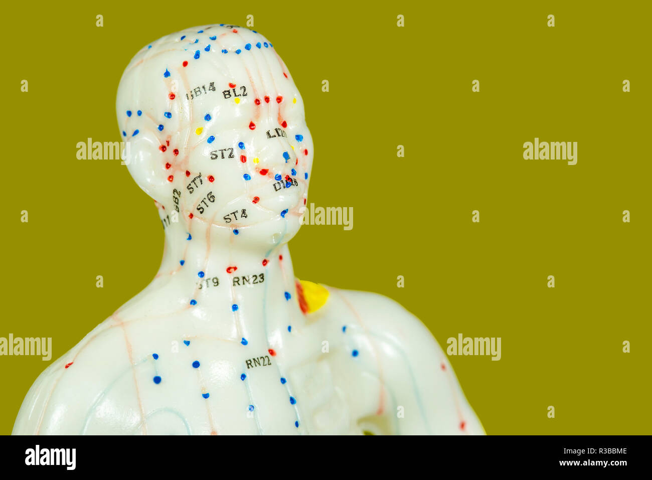 Acupuncture model hi-res stock photography and images - Alamy