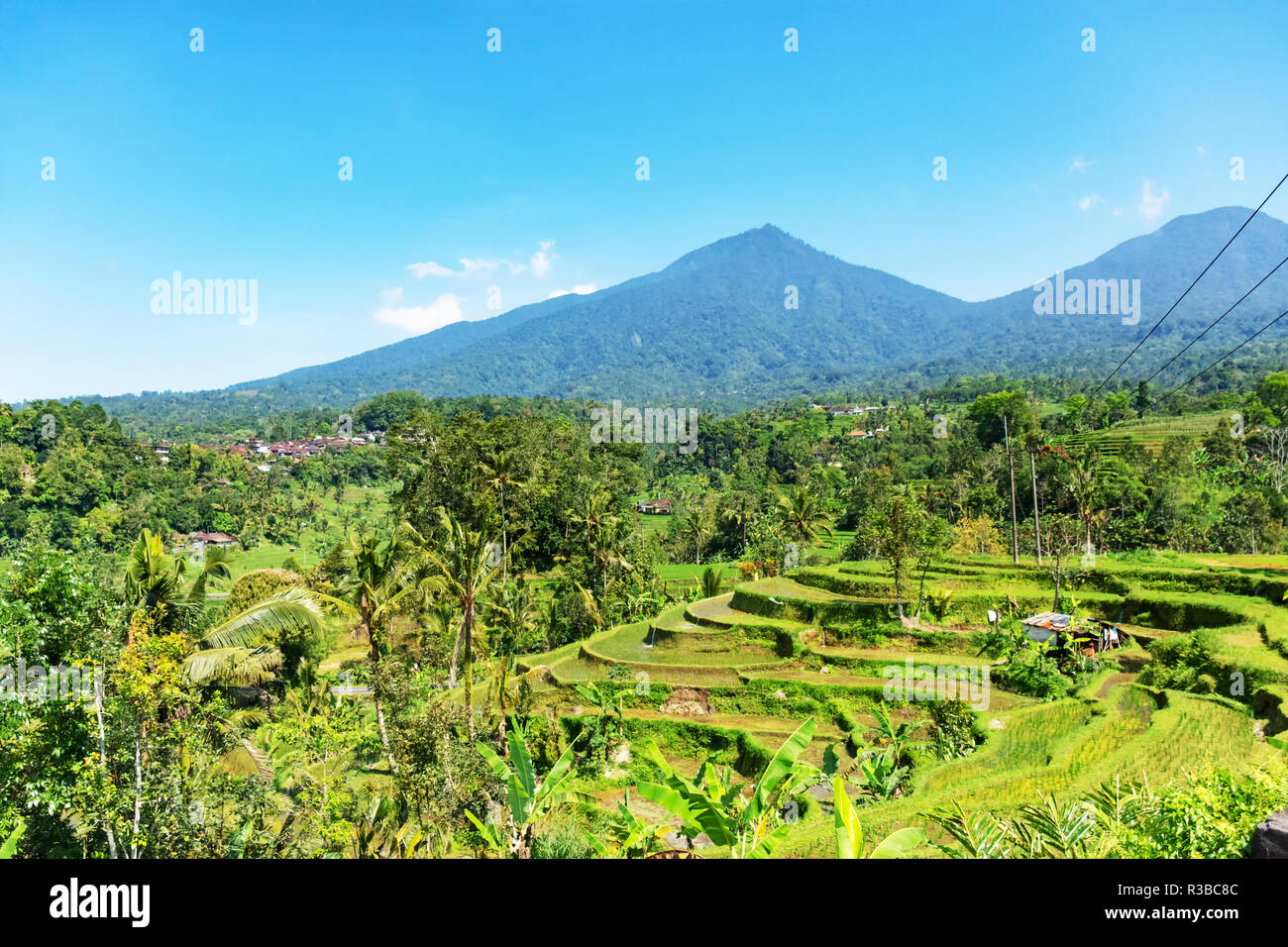 Tabanan bali hi-res stock photography and images - Alamy