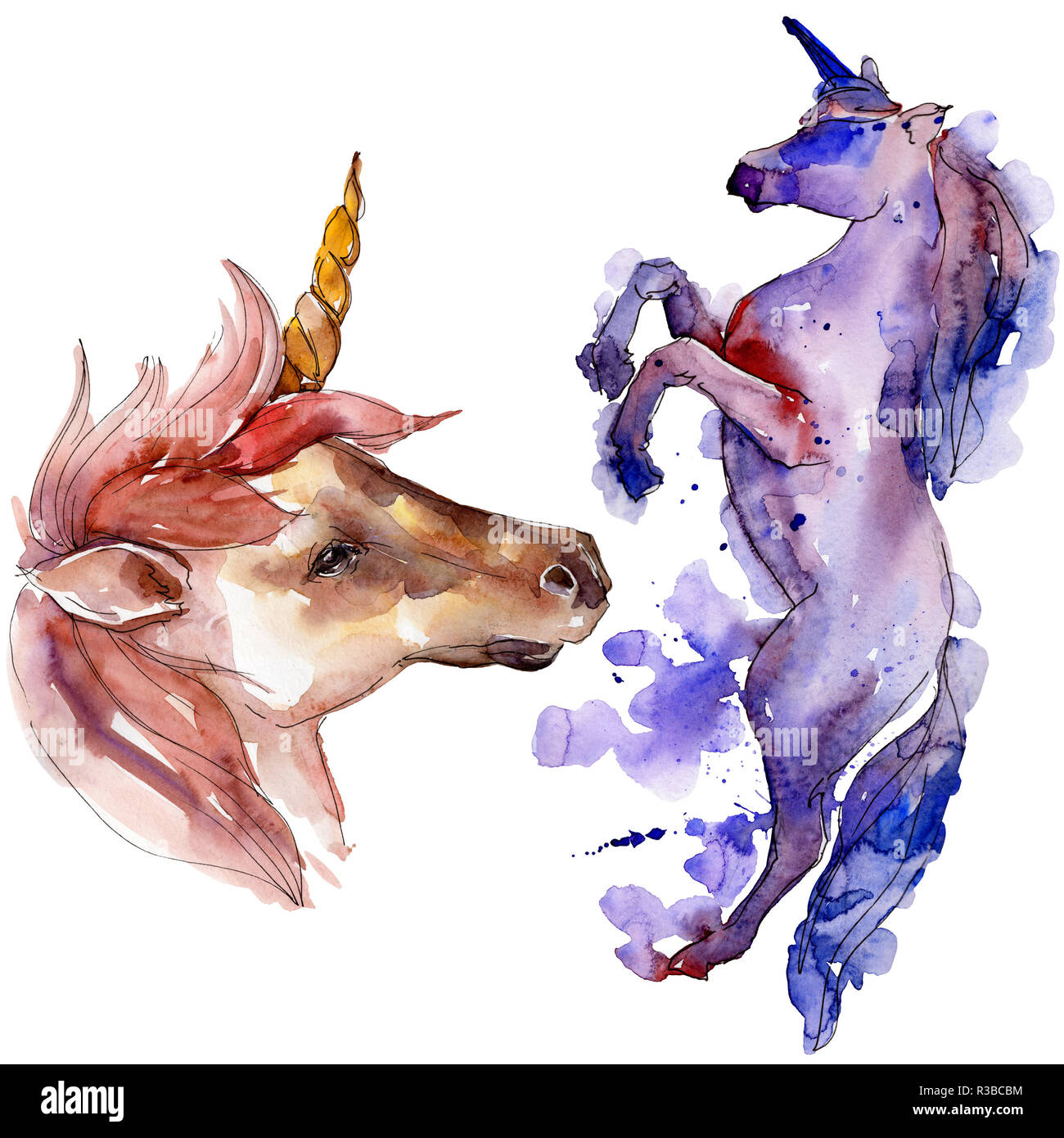 Cute unicorn horse. Isolated aquarelle wild animal for background ...