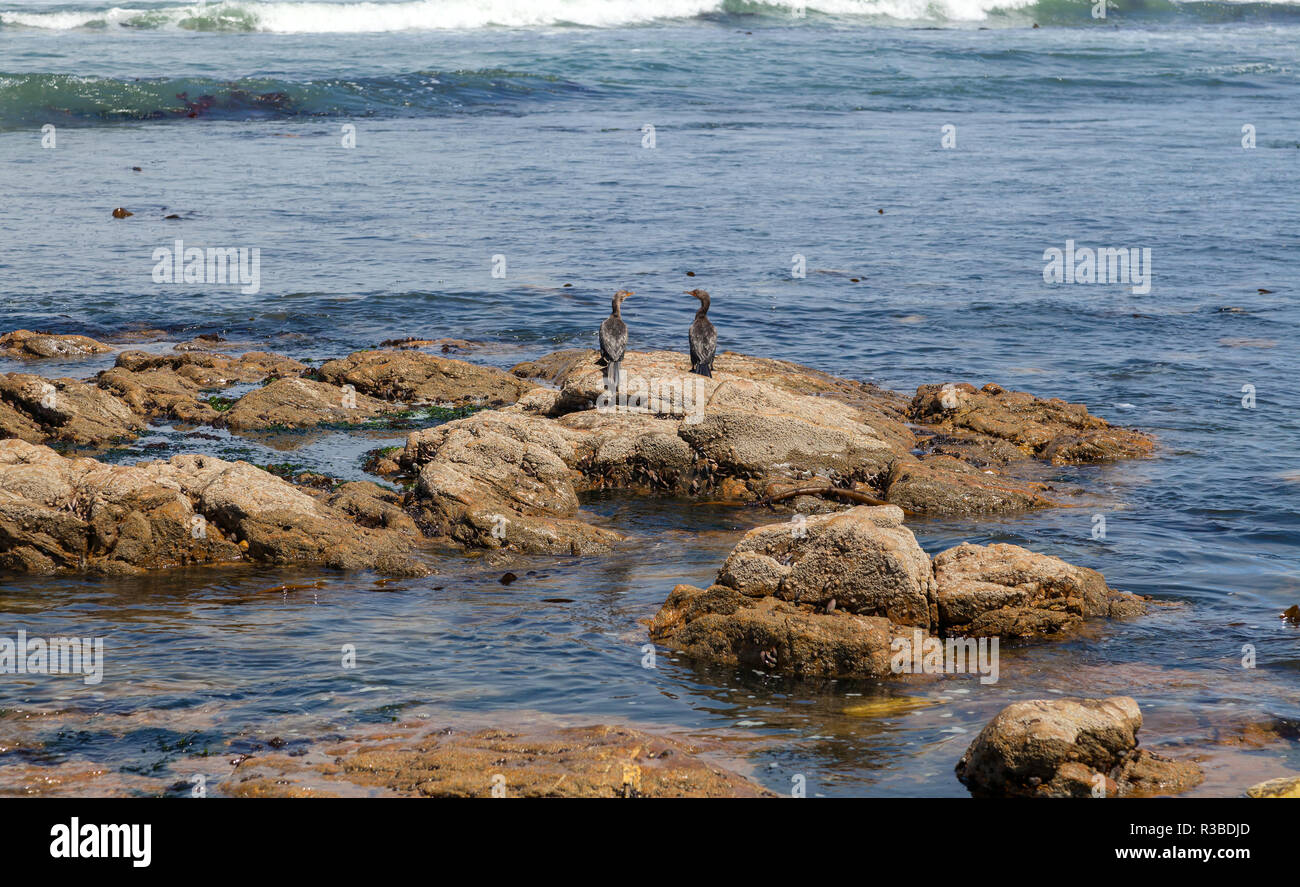 The Atlantic Ocean after pounding the Namibian Skeleton coast during a ...