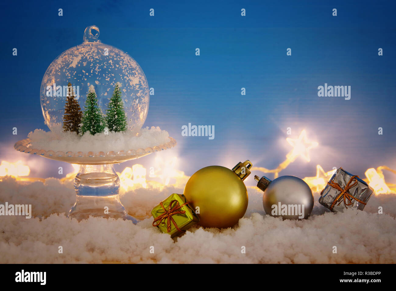 Christmas evergreen trees inside hi-res stock photography and images ...