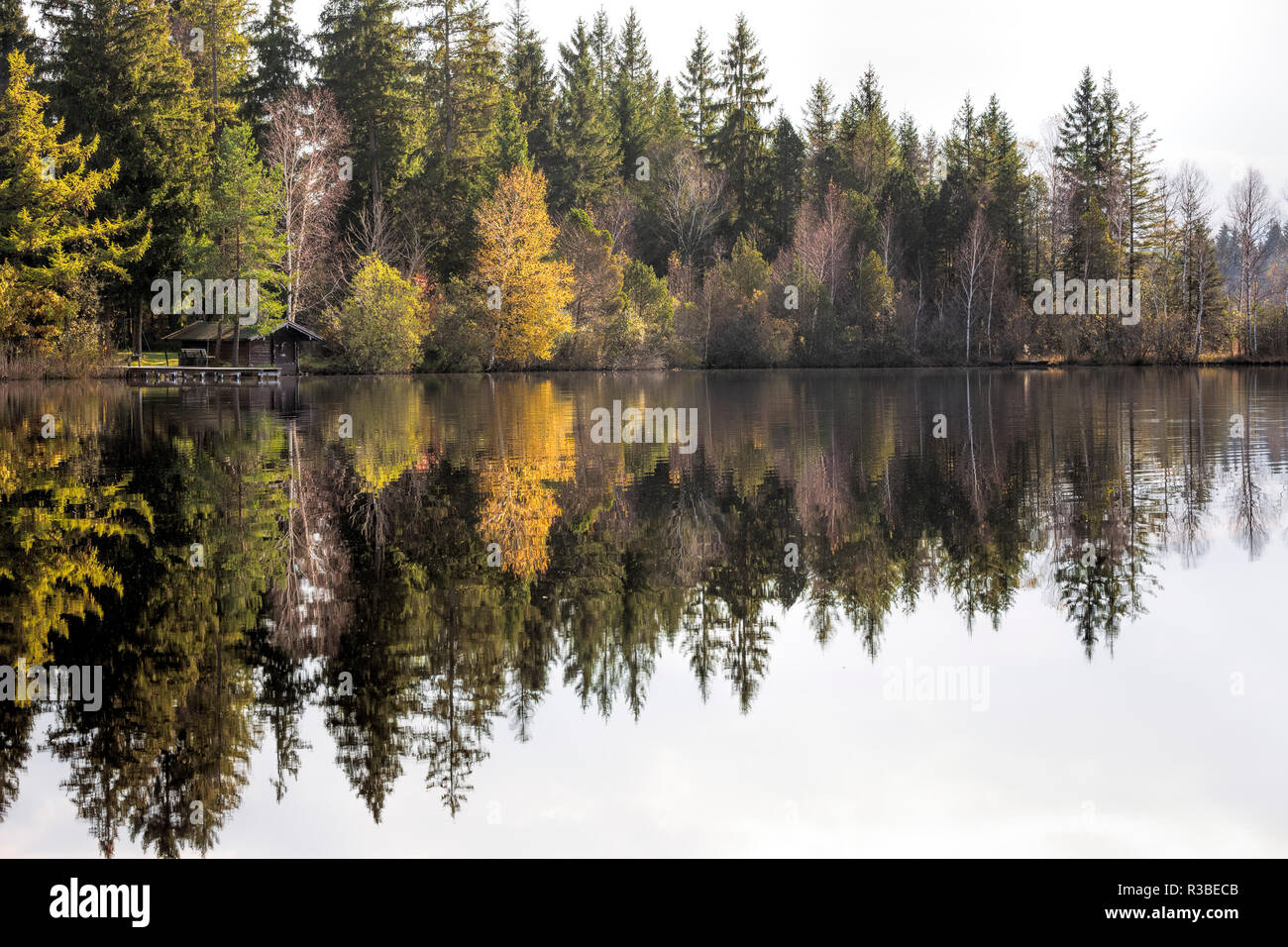 autumn at kirchsee in bavaria Stock Photo - Alamy