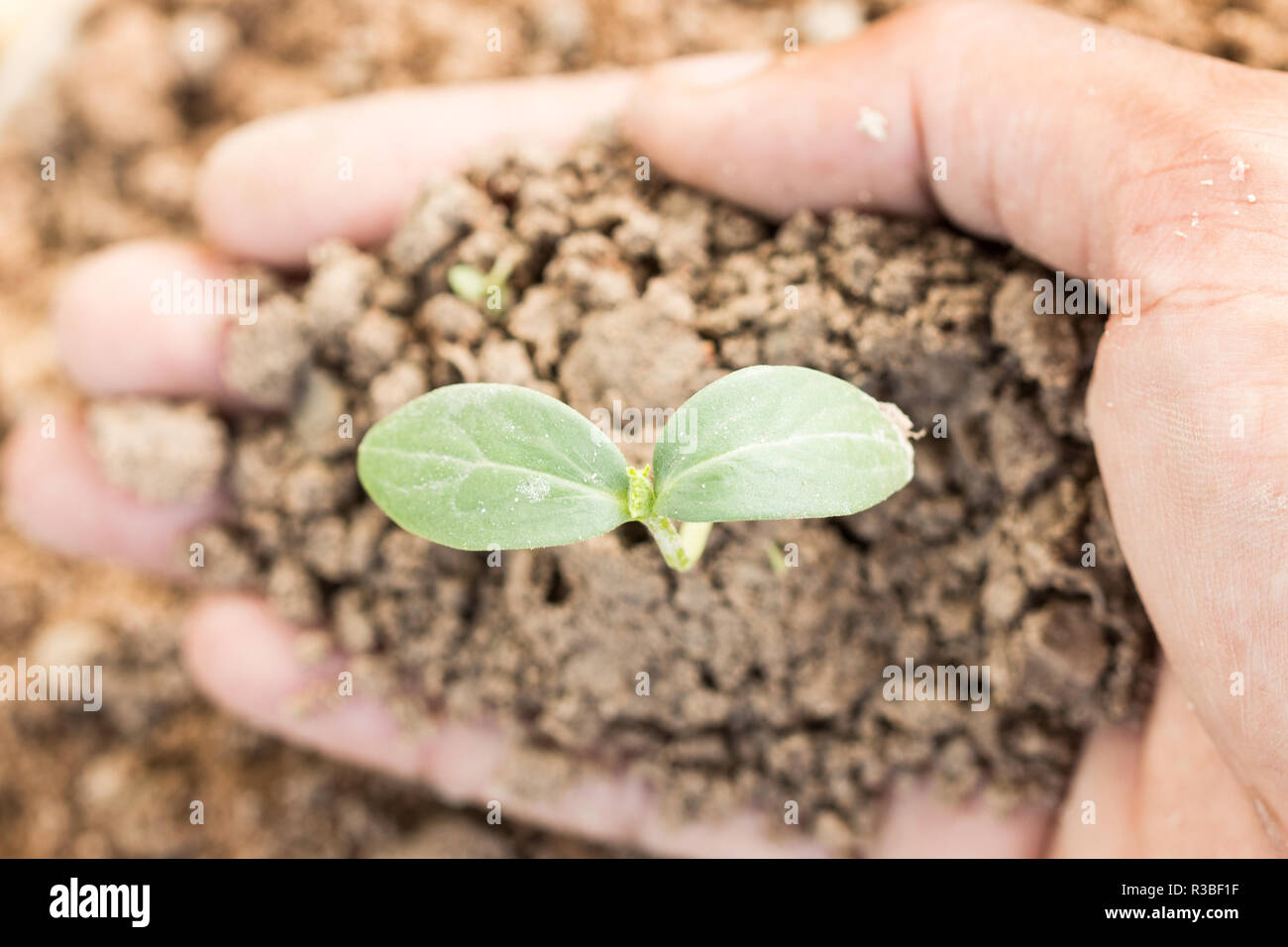 Jump start project hi-res stock photography and images - Alamy