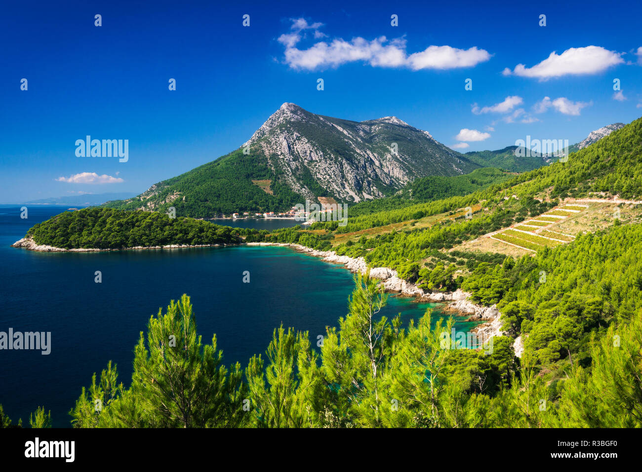 The village of Trstenik on the Peljesac Peninsula above the Adriatic ...