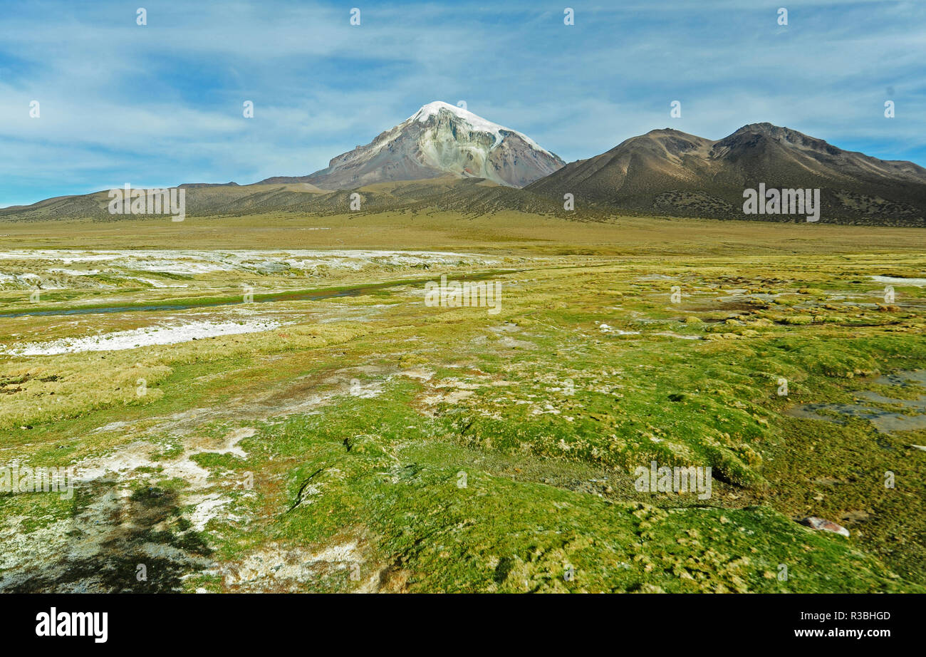 Snowcapped volcano Sajama, Sajama National Park, Bolivia Stock Photo ...
