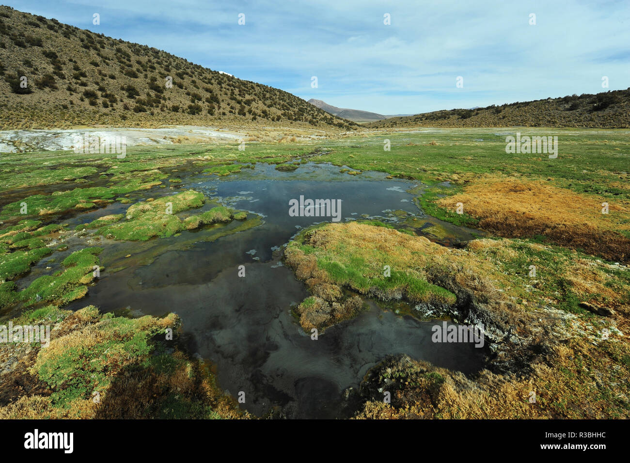 Parque Nacional de Sajama, Bolivia Stock Photo - Alamy
