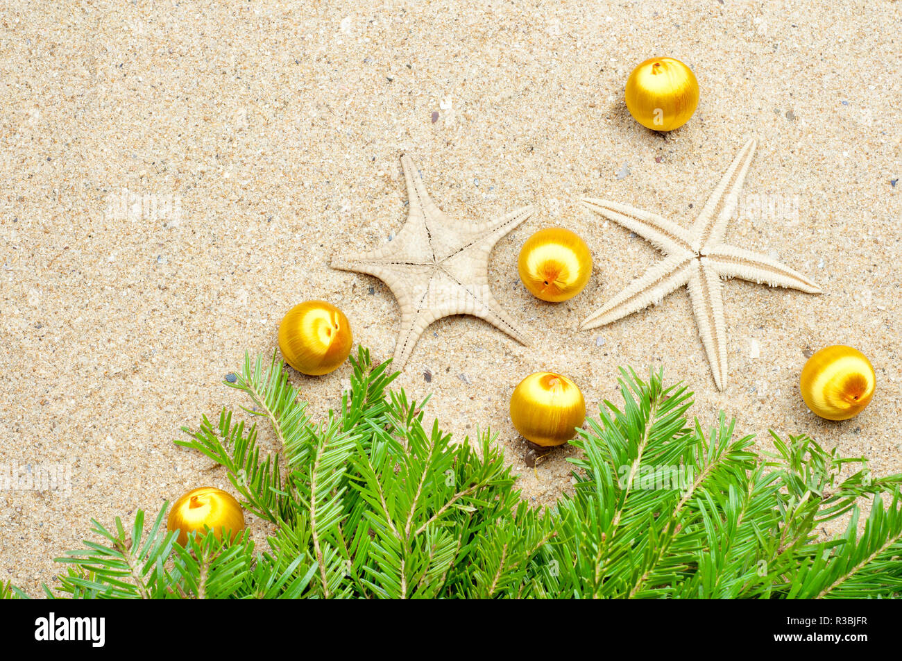 Starfish tree hi-res stock photography and images - Alamy