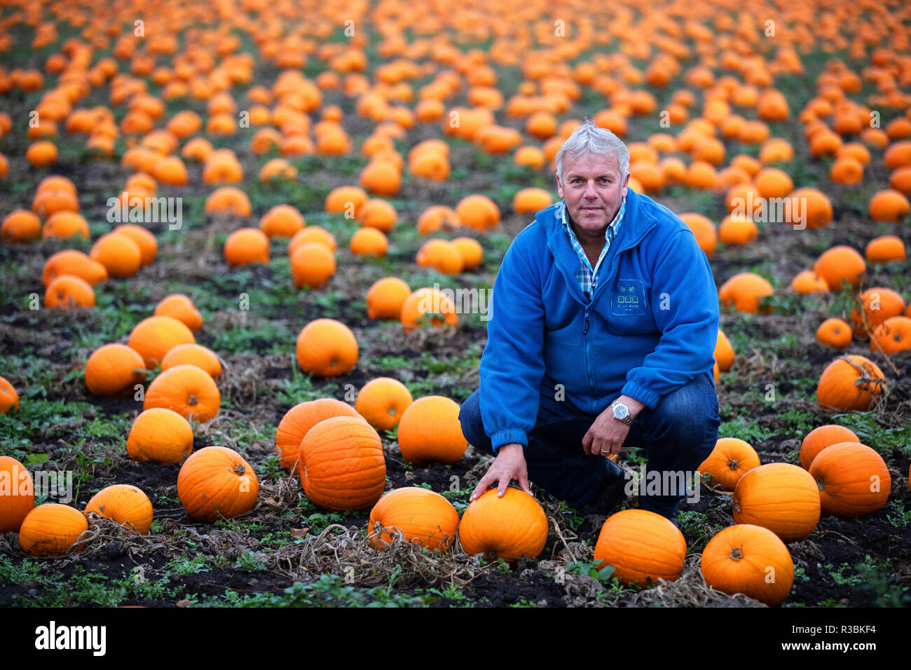 Asda has worked with its British growers to harvest over 1.6 million ...