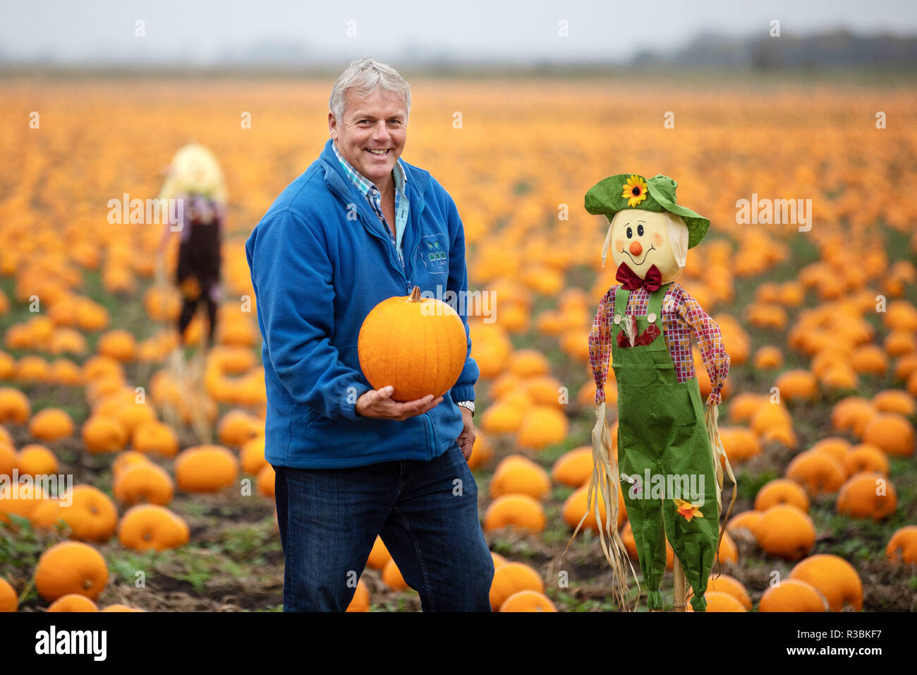 Asda has worked with its British growers to harvest over 1.6 million ...