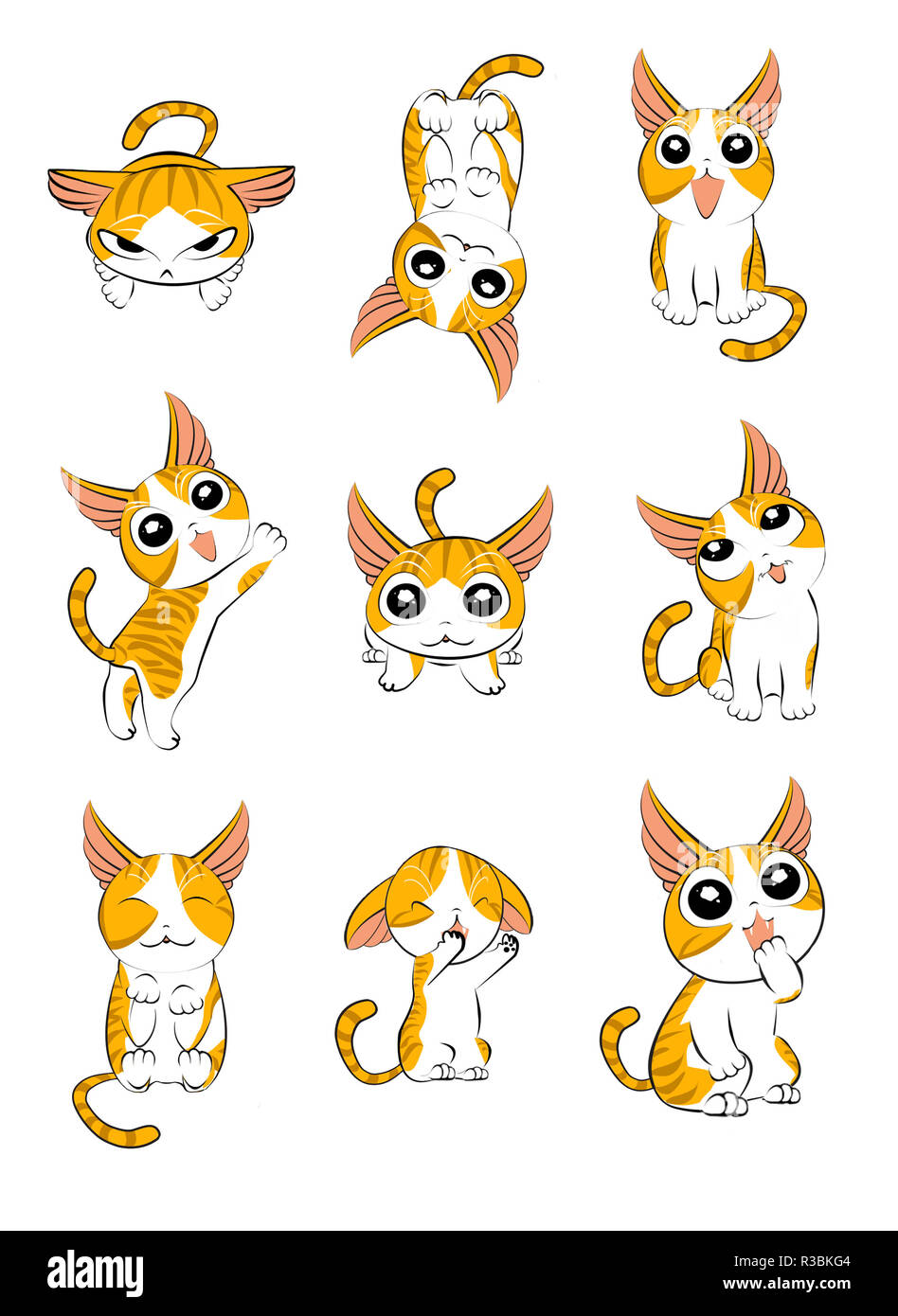 set of yellow cat different poses isolated on white., illustration ...