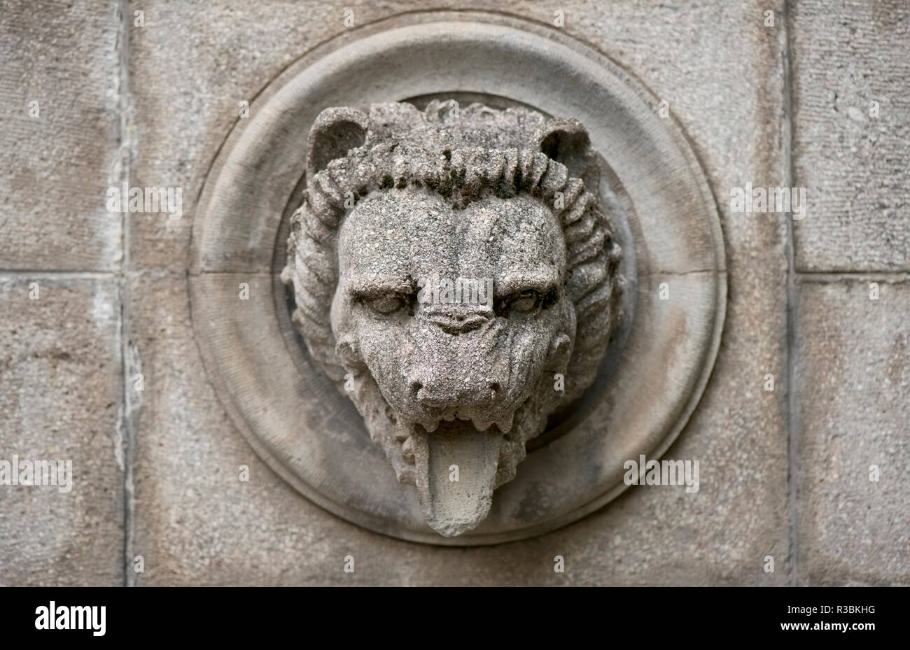 Lion carving sculpture relief hi-res stock photography and images - Alamy