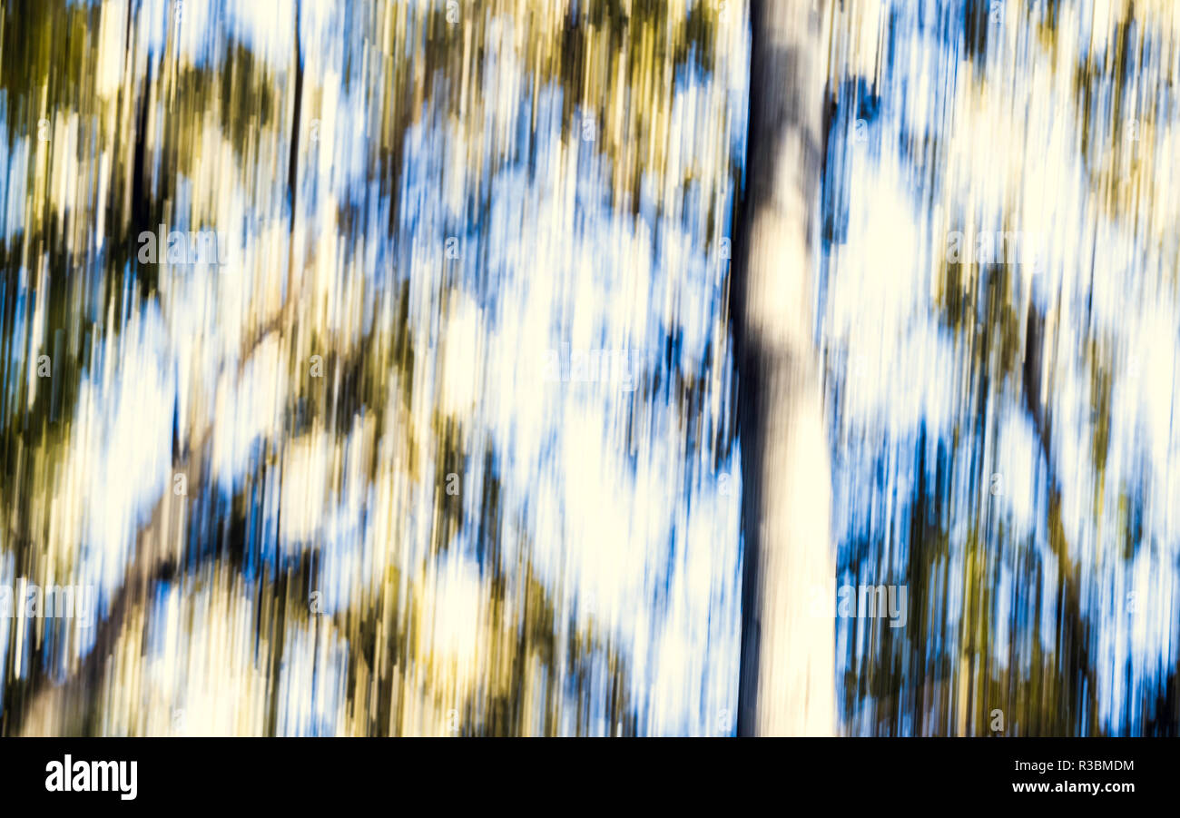 Icm wallpaper hi-res stock photography and images - Alamy