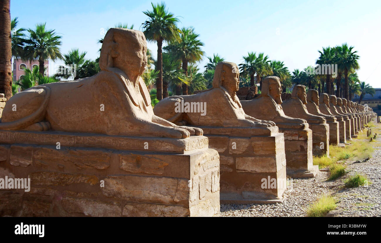Statues, ruins, temples of ancient Egypt Stock Photo - Alamy
