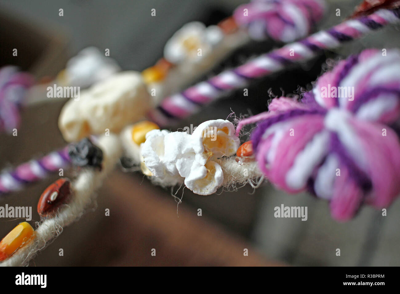 Survachka Bulgaria High Resolution Stock Photography and Images - Alamy