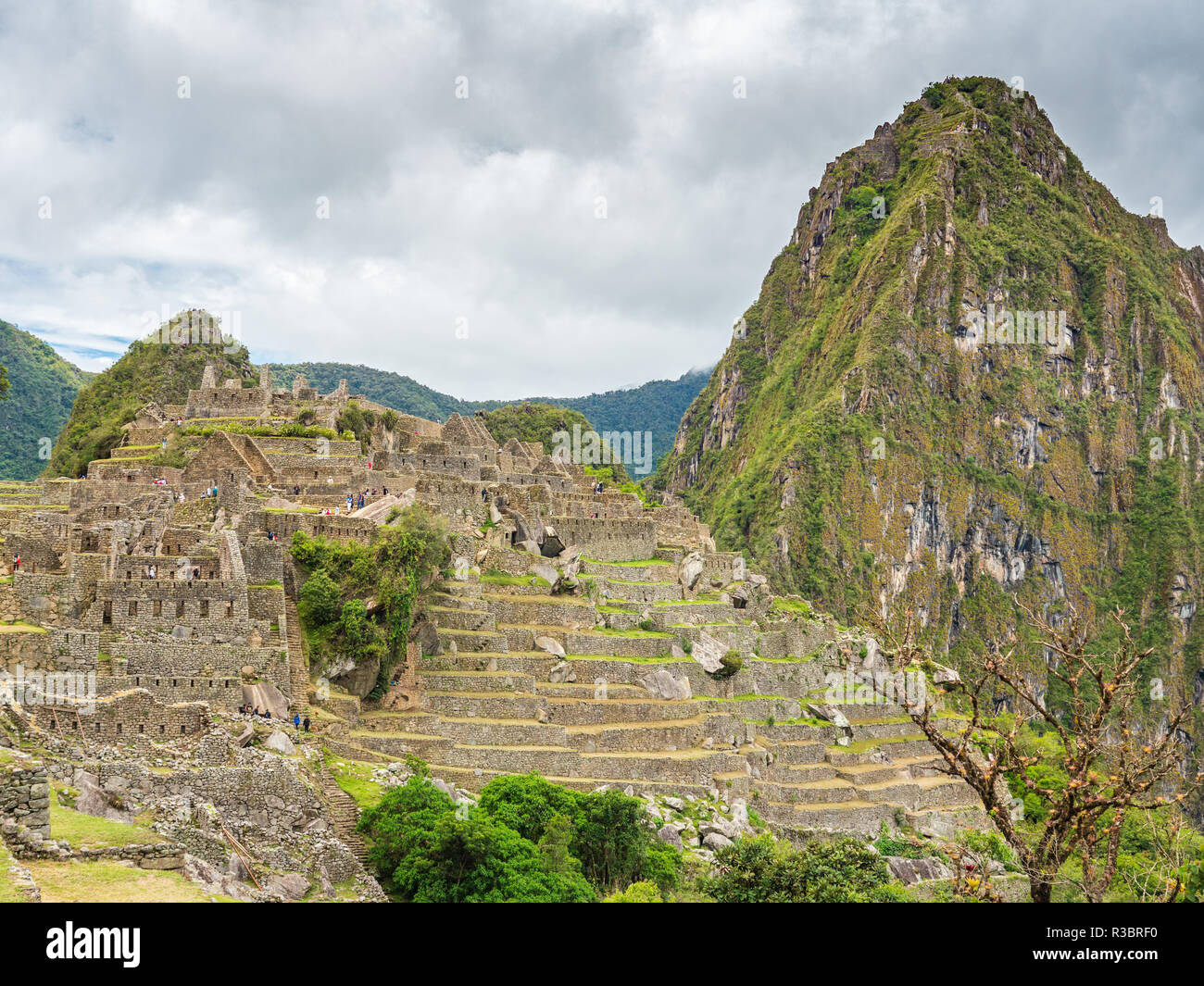 Side view of the Machu Picchu citadel Stock Photo - Alamy
