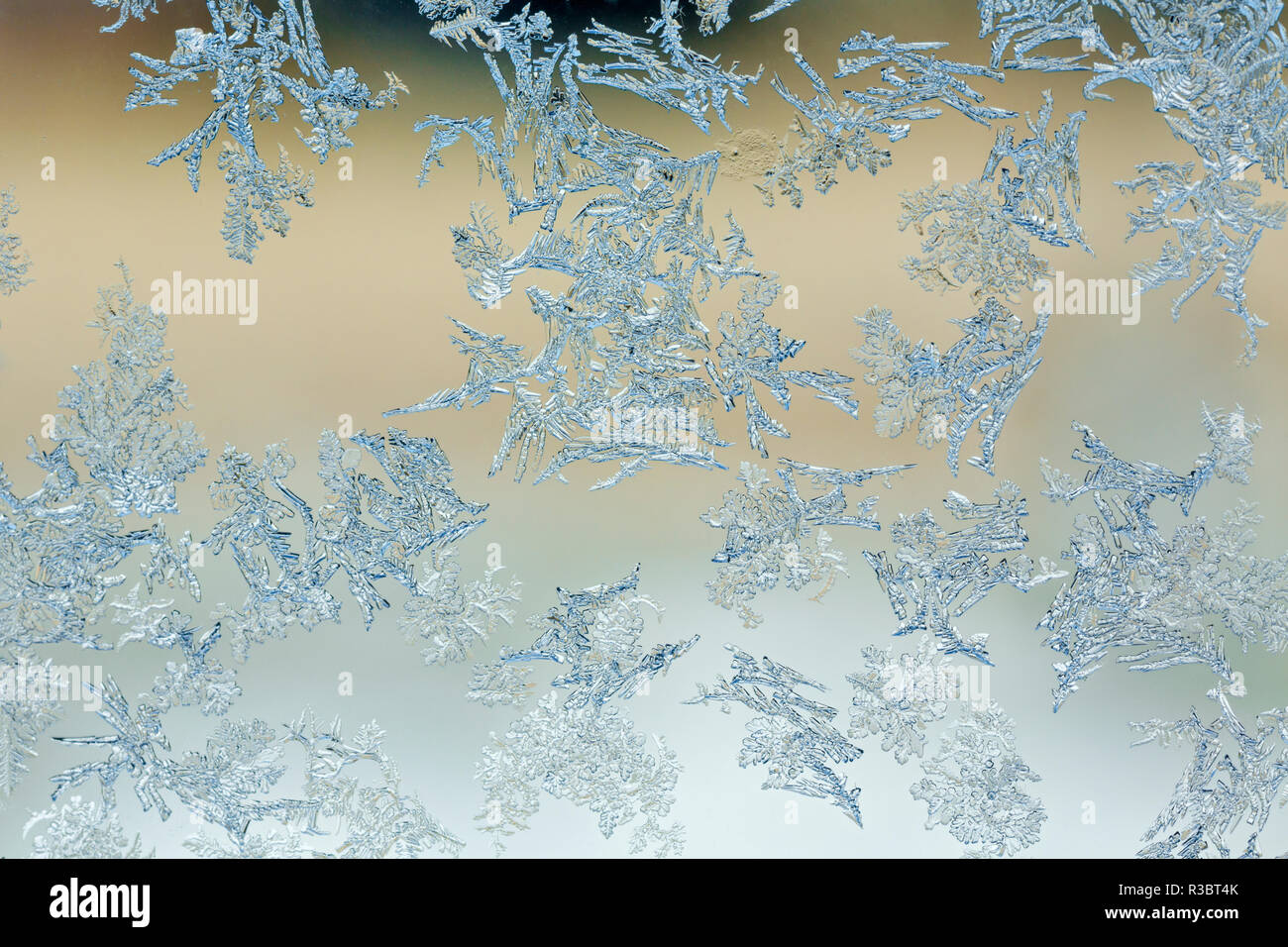 Frost pattern on window Stock Photo - Alamy