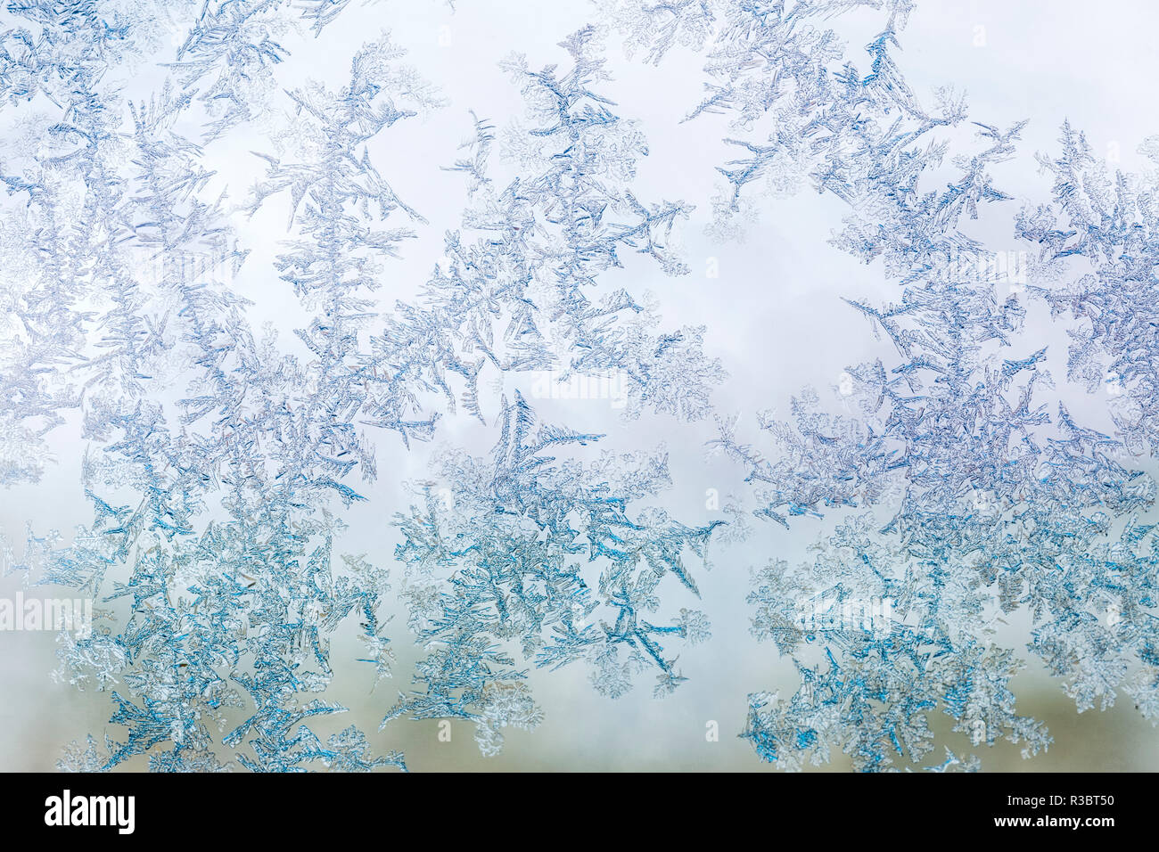 Frost pattern on window Stock Photo - Alamy