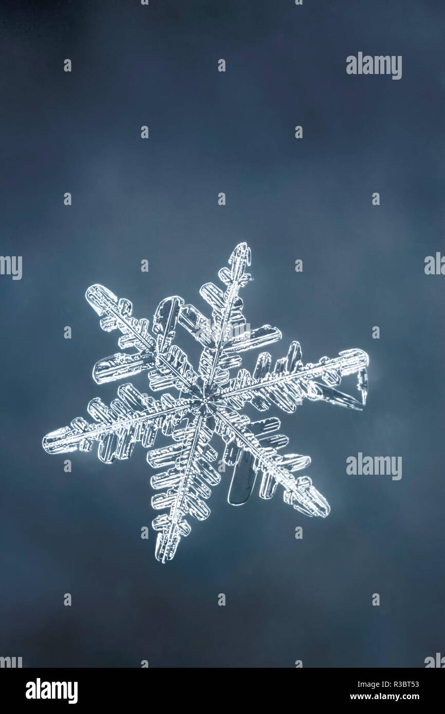 Abstract texture patterns hi-res stock photography and images - Alamy