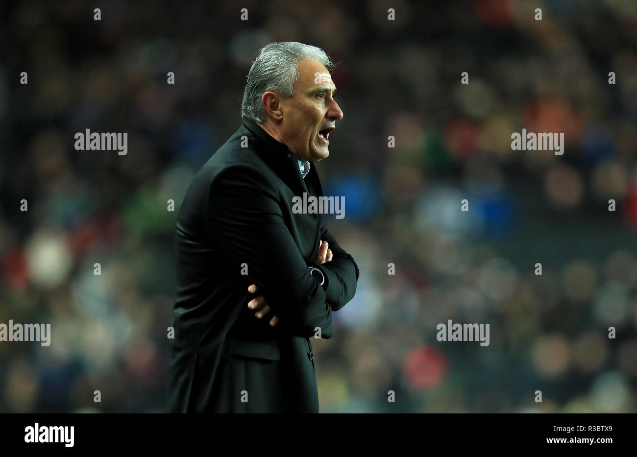 Brazil Manager Tite Stock Photo - Alamy