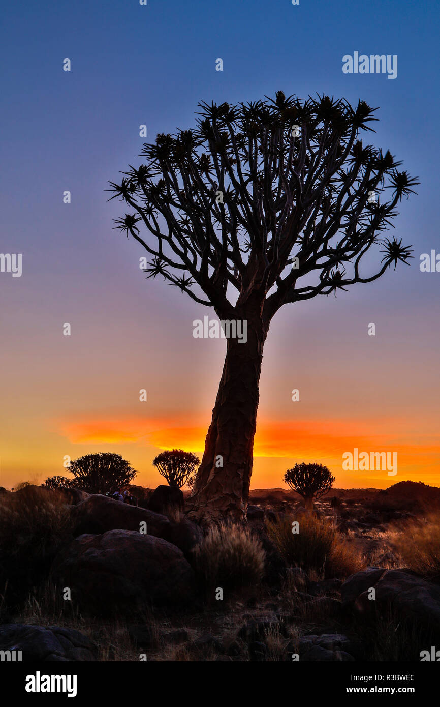 Africa, Namibia, Keetmanshoop, sunset at the Quiver tree Forest at the ...